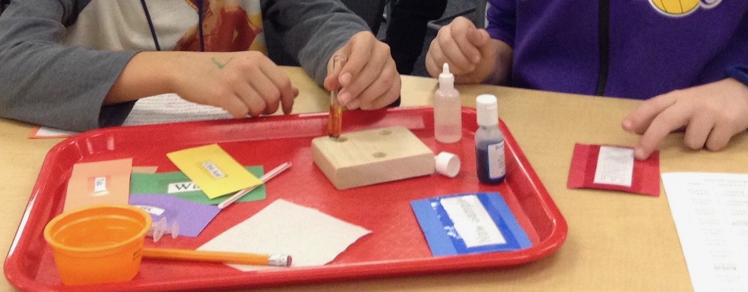 Guide to Planning and Running a Successful Science Activity with Kids ...