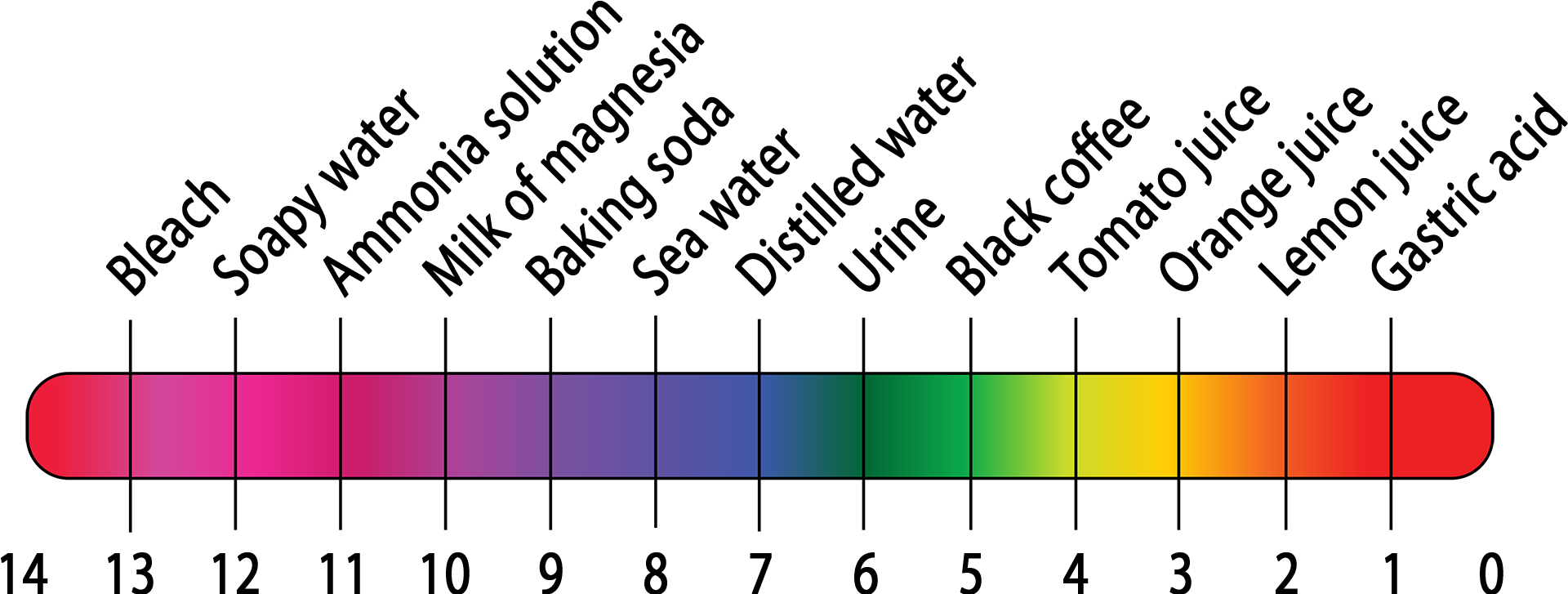 Homemade PH Paper Kidizen Science Homemade PH Paper Kidizen Science