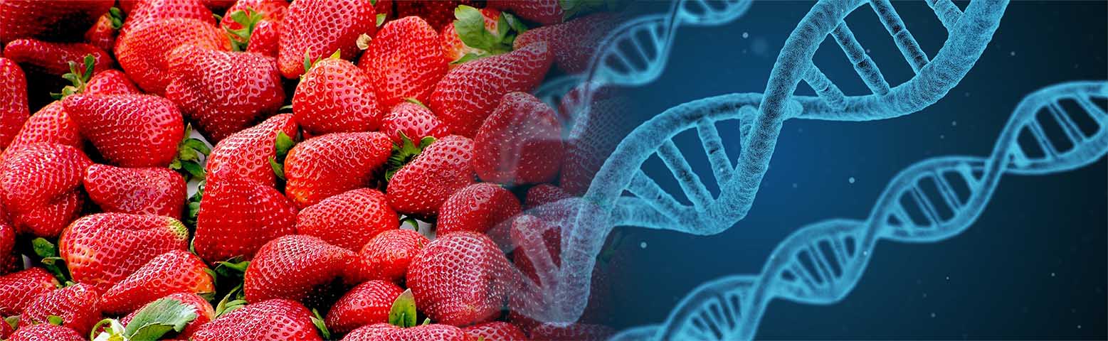 DNA Discovery - Kidizen Science